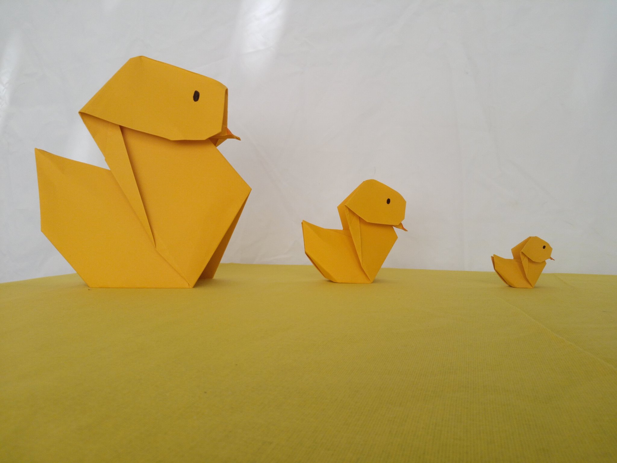 Duck Race! - Papelstorich
